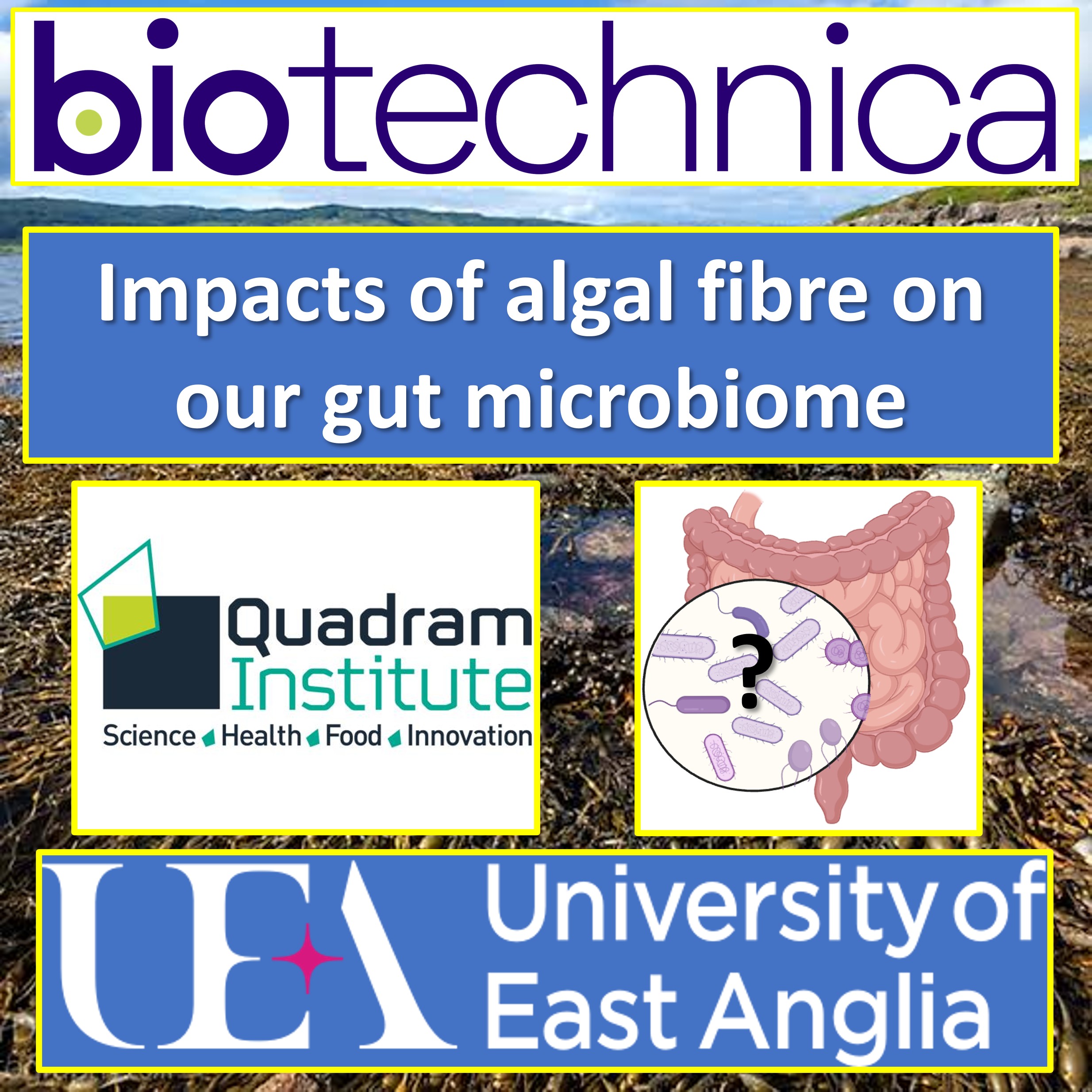 Impacts of algal fibre on our gut microbiome (TODD_U26CASE) | Doctoral Training Partnership